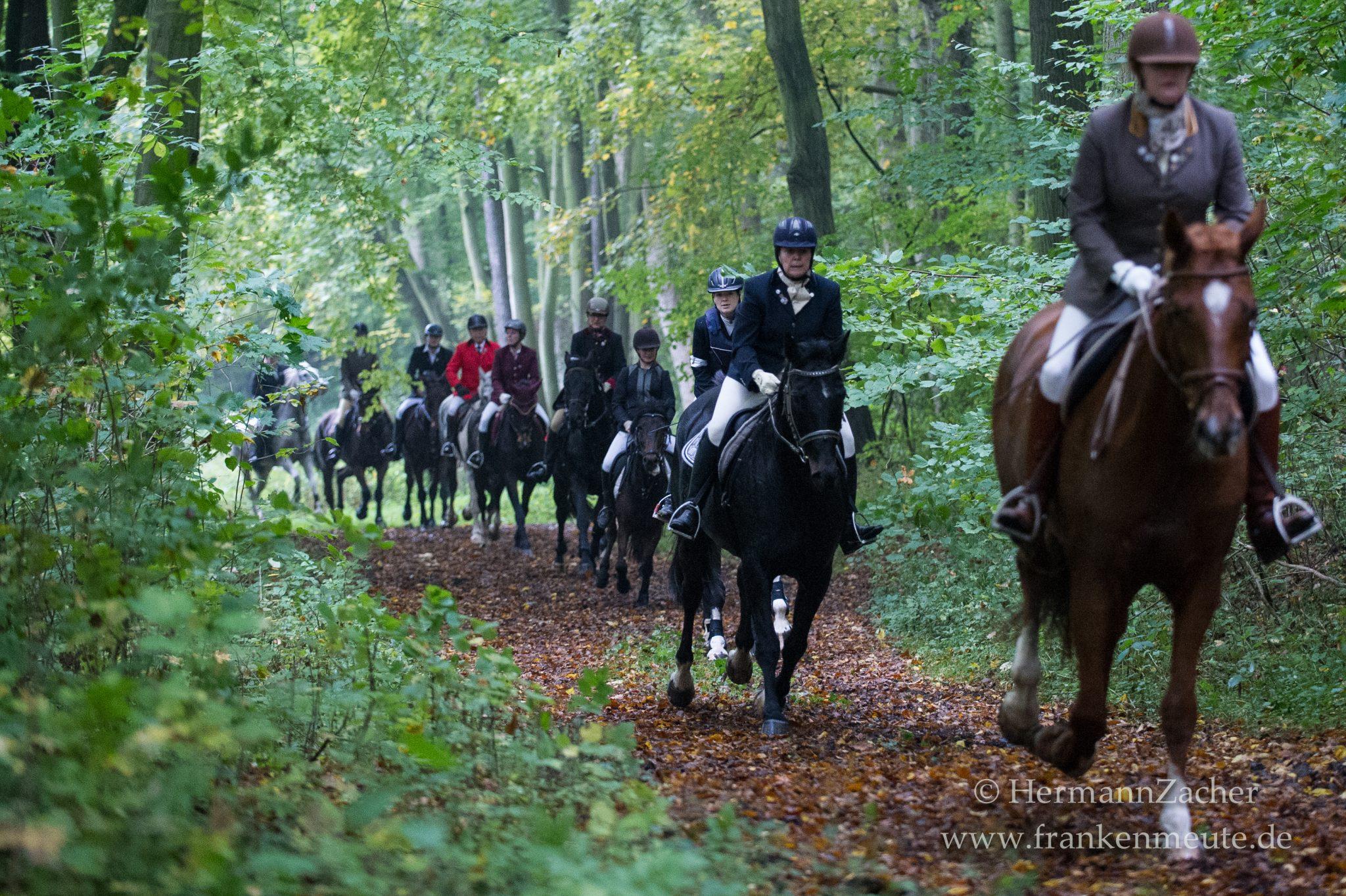 Reitverein Zeitz e.V. – Equitanas Reitsport gGmbH