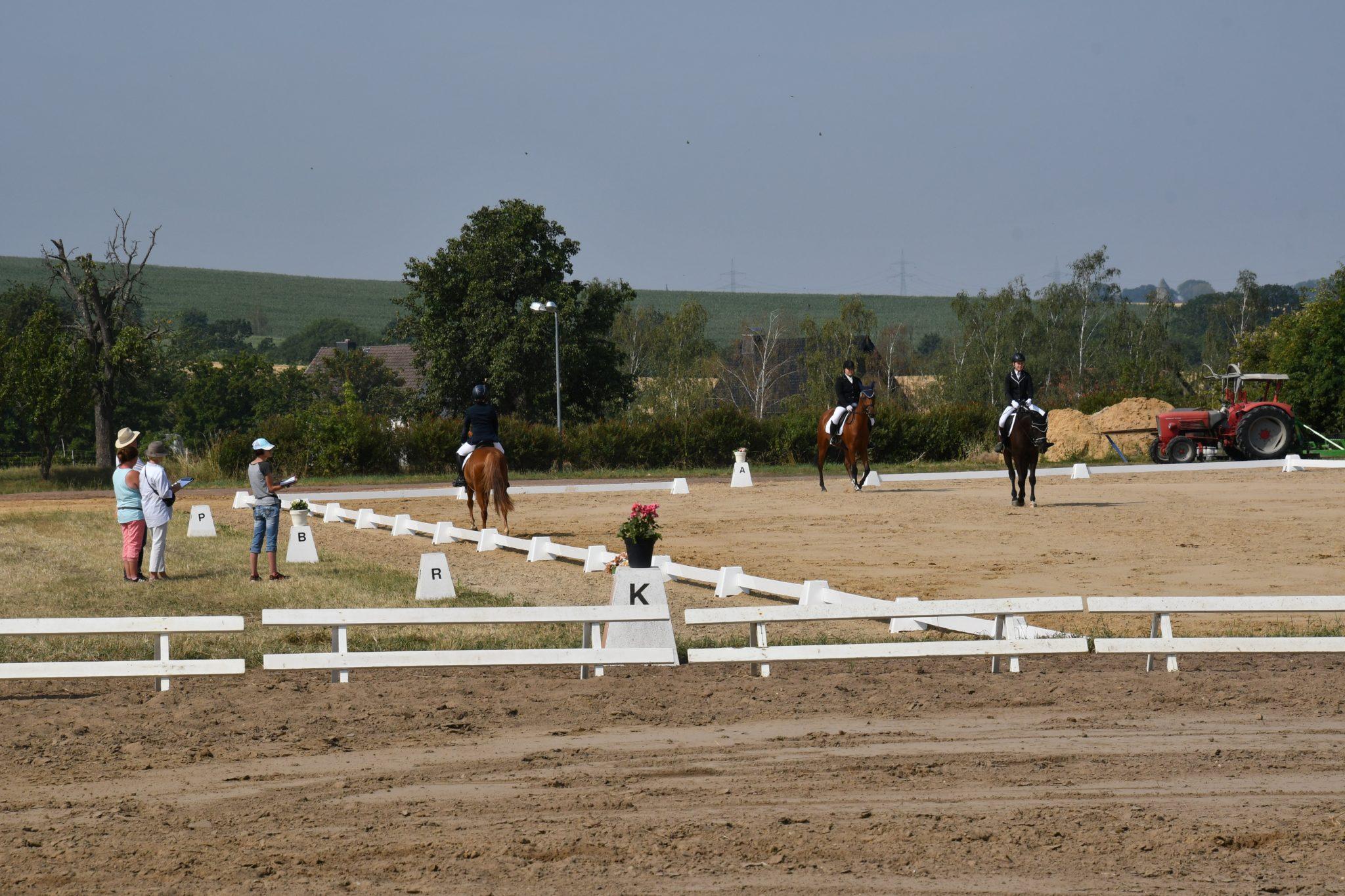 Reitverein Zeitz e.V. – Equitanas Reitsport gGmbH