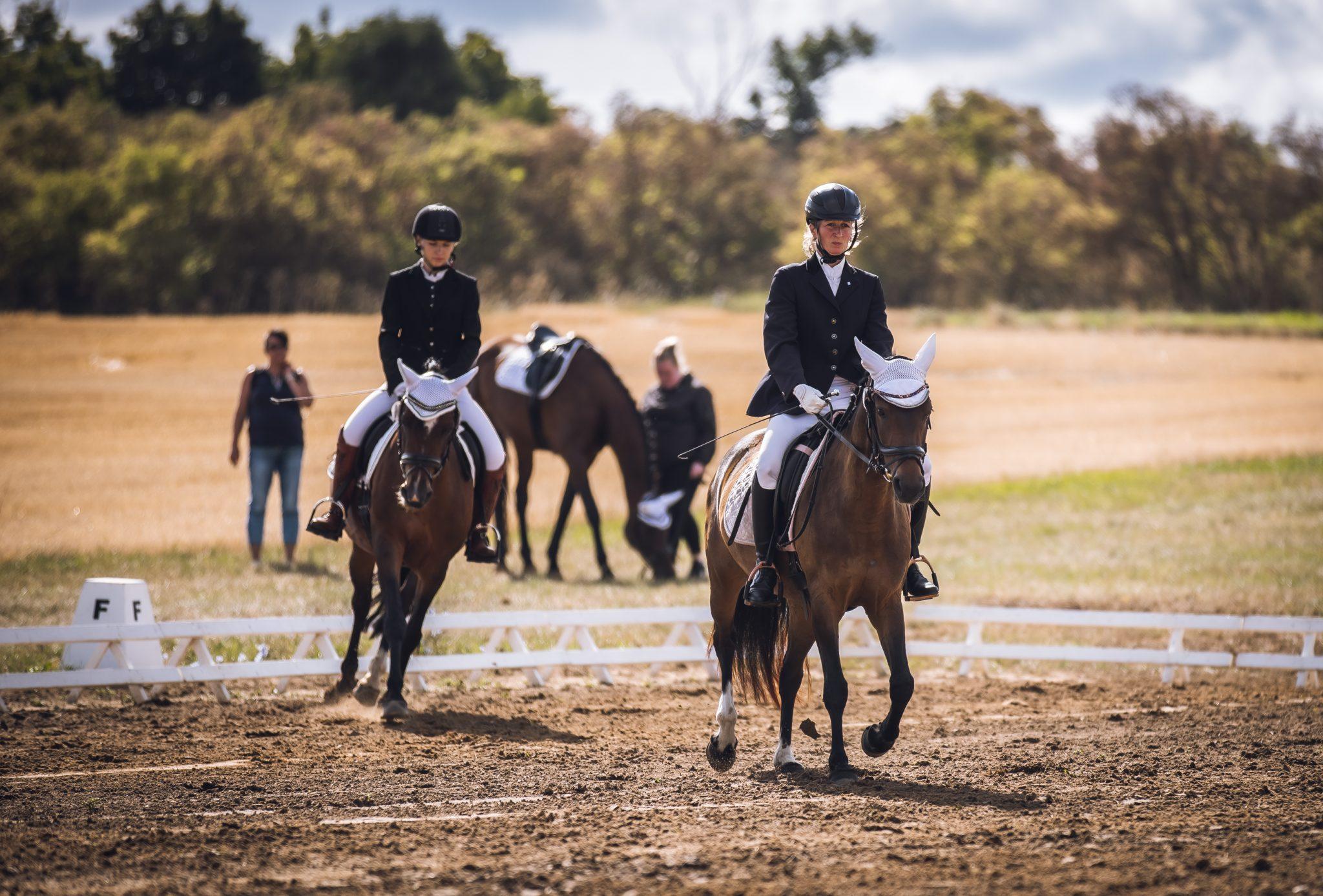 Reitverein Zeitz e.V. – Equitanas Reitsport gGmbH